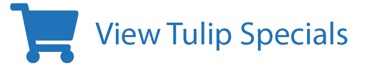 Tulip Machinery | Speed Tillers